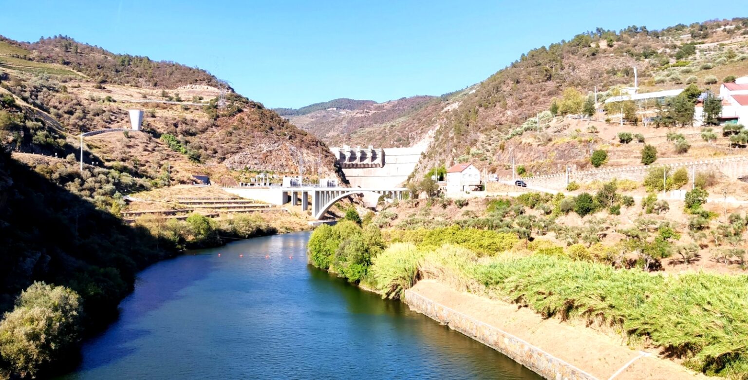 AI-powered fish monitoring at Portugal’s dams
